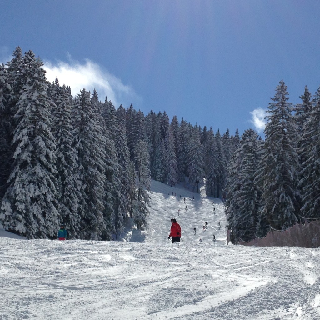100 magnifiche FOTO di Paesaggi Innevati dopo le recenti Nevicate ...